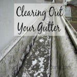 Why You Must Start Clearing Out Your Gutter