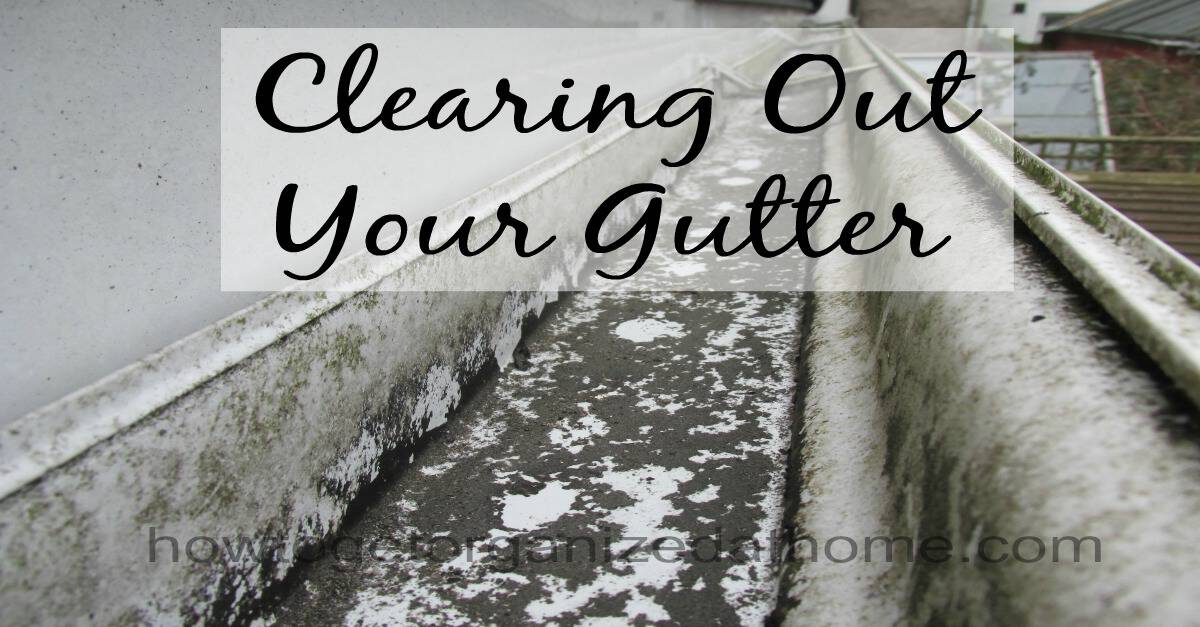 Why You Must Start Clearing Out Your Gutter