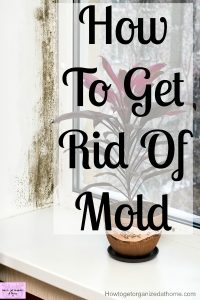 No Bleach Method For Killing Mold On Window Sills
