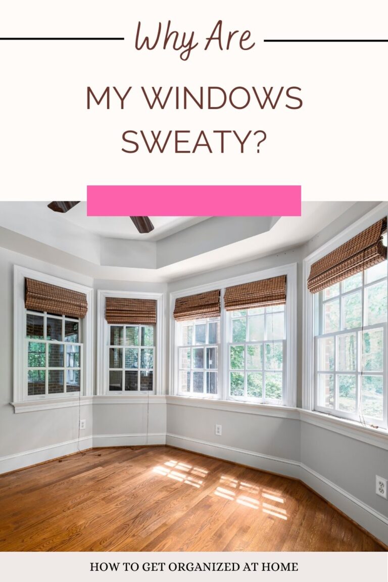 My Windows Are Sweating And Causing Mold