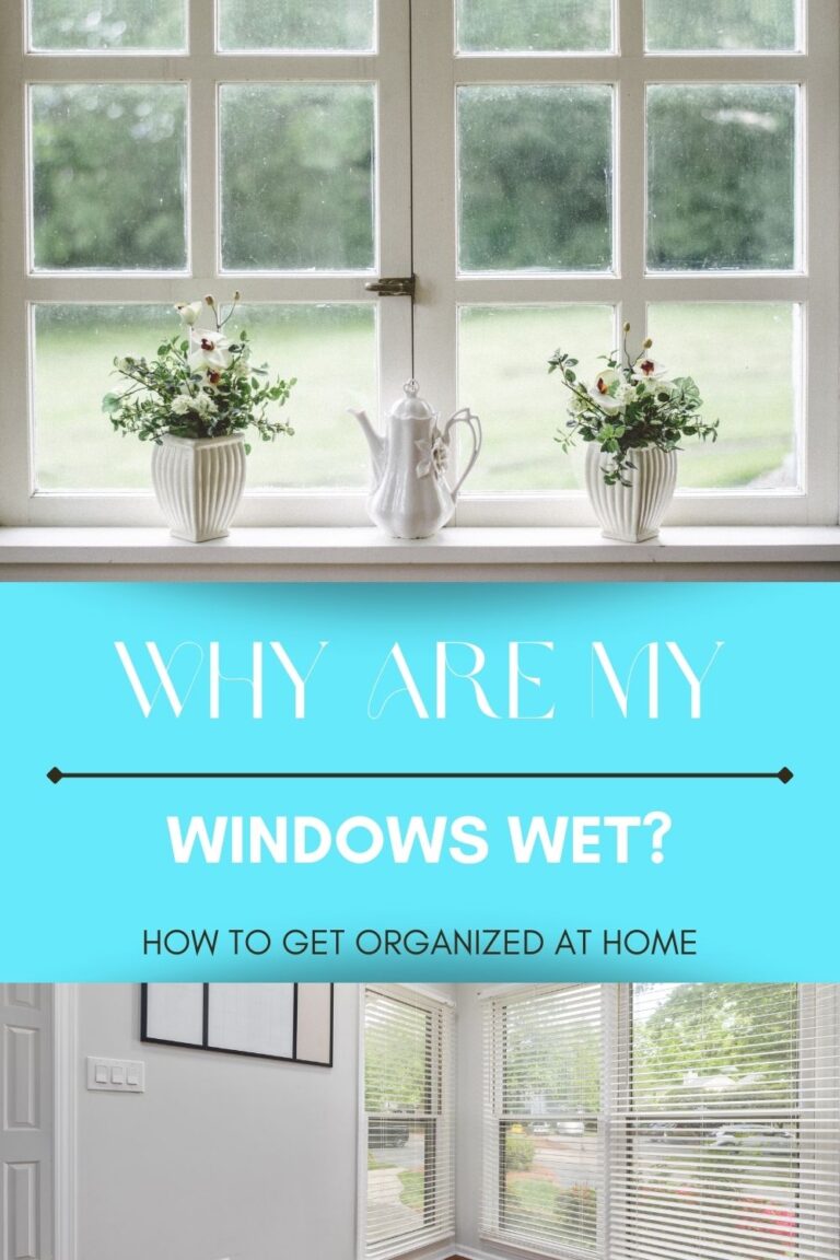 My Windows Are Sweating And Causing Mold