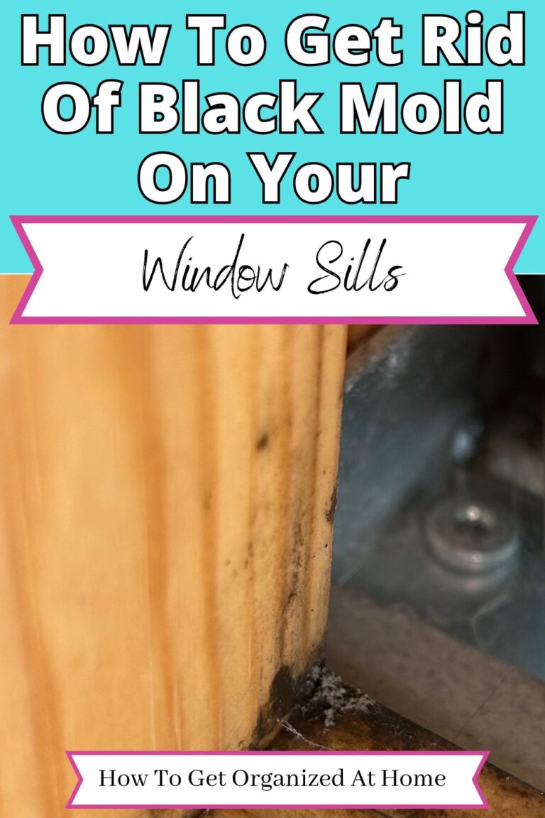 The Best Way For Tackling Mold On Window Sills